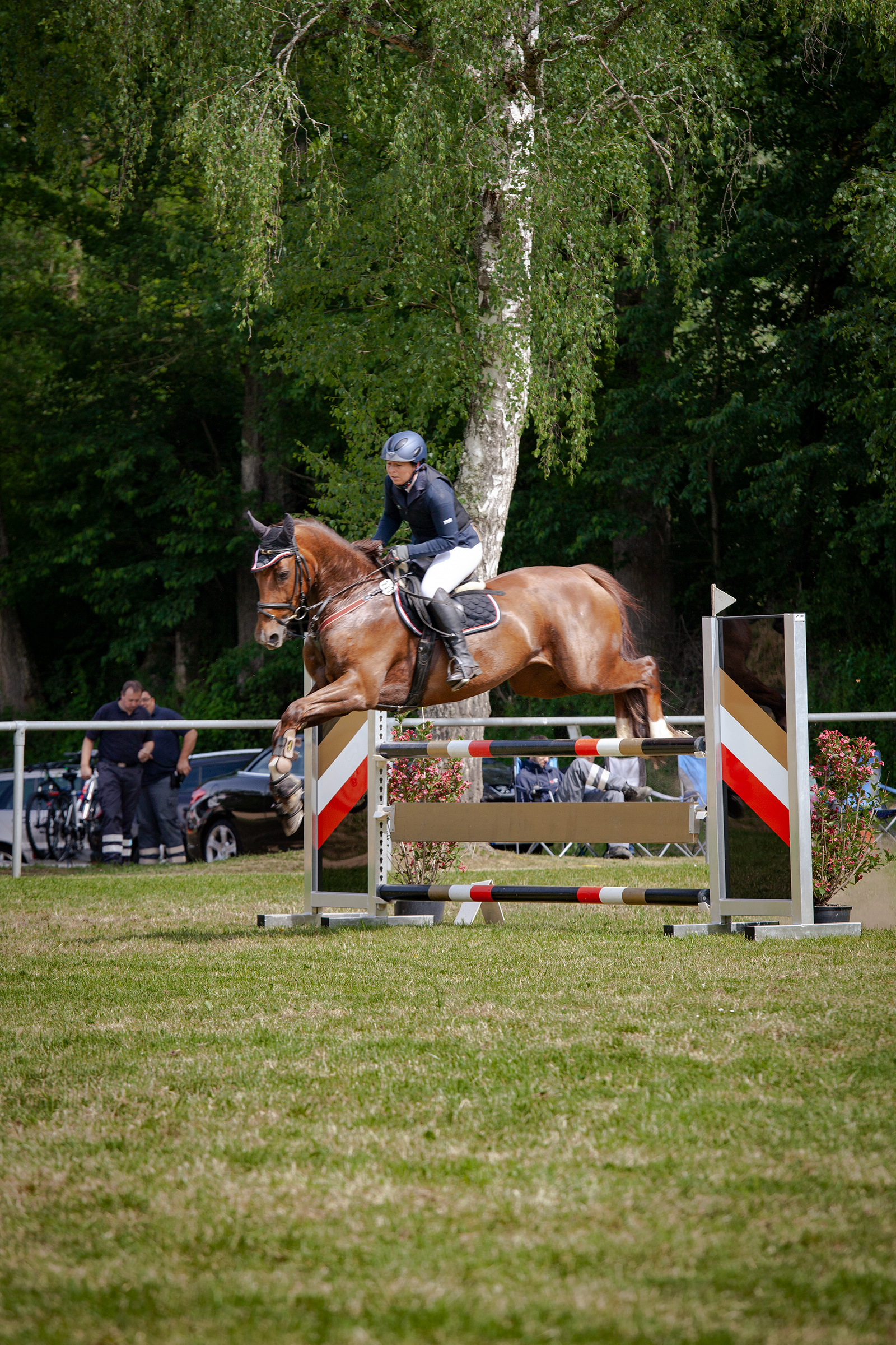 Springturnier 2019 - RFV Schwendi